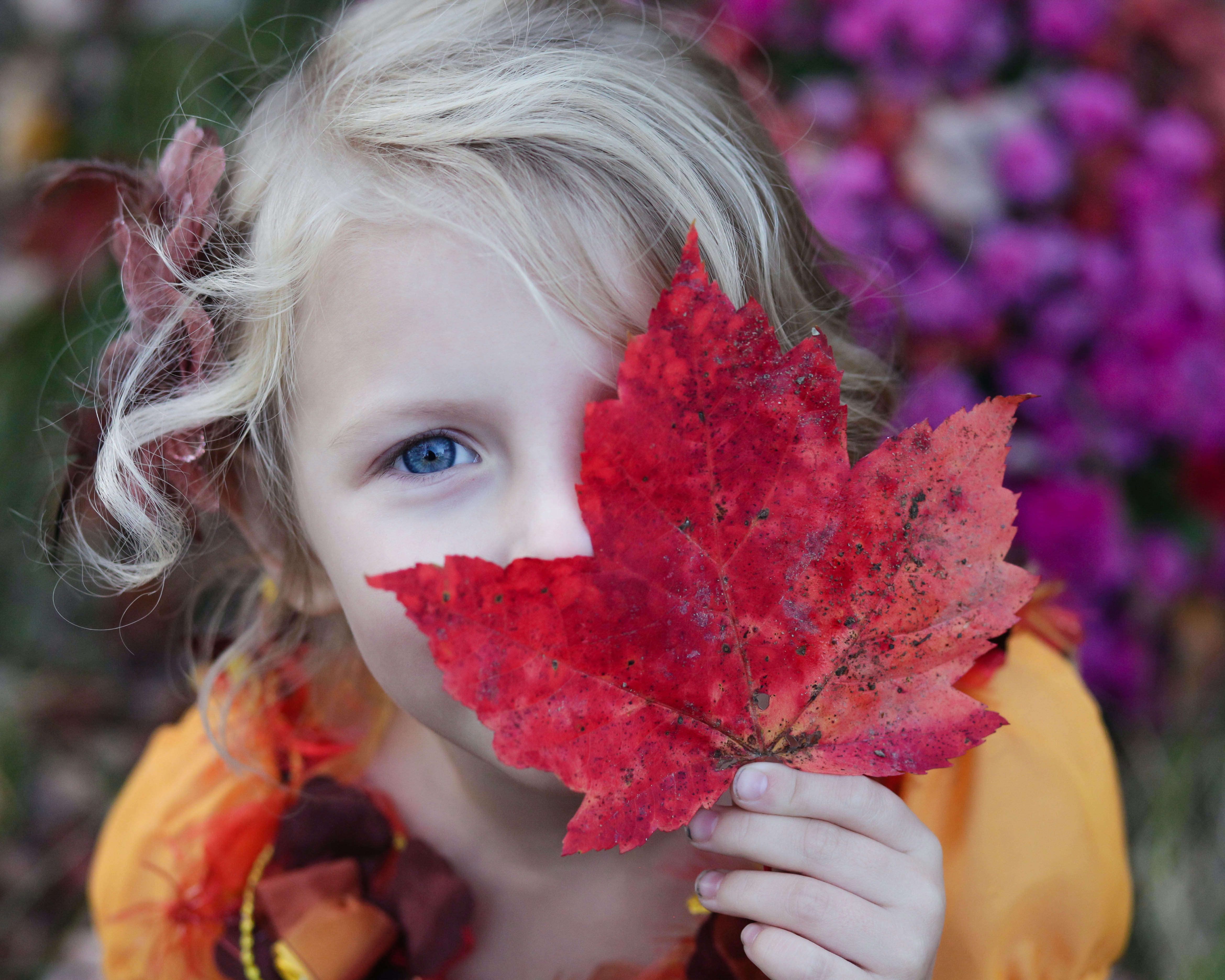 When Should Your Child Start Dance Lessons Expanding Horizons At A When Should Your Child Start Dance Lessons Expanding Horizons At A